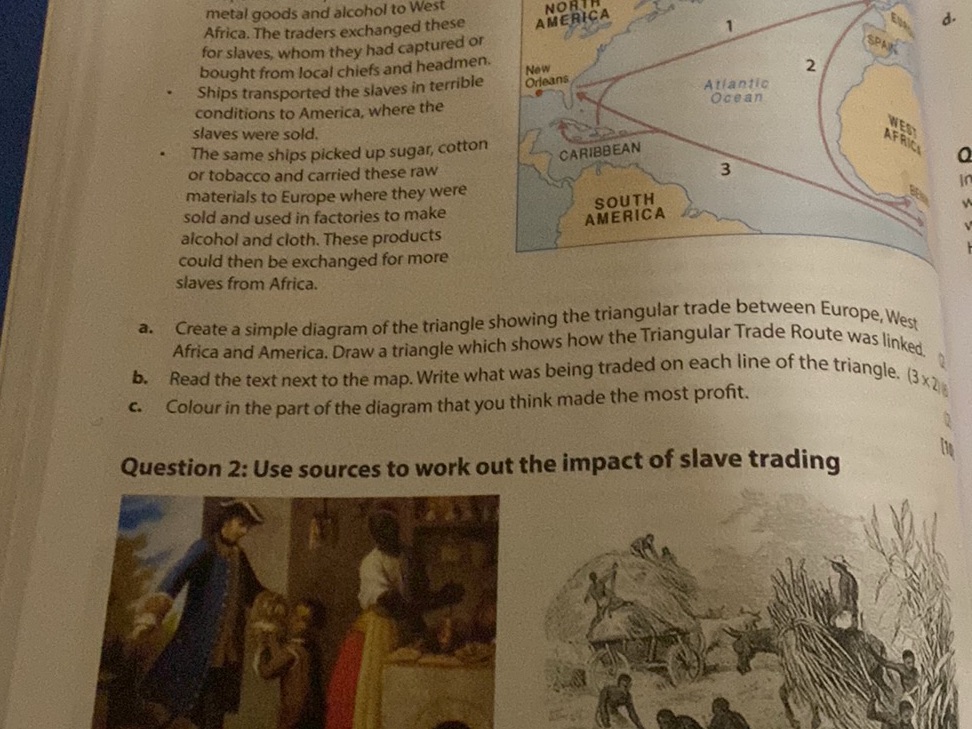 a. Create a simple diagram of the triangle | StudyX