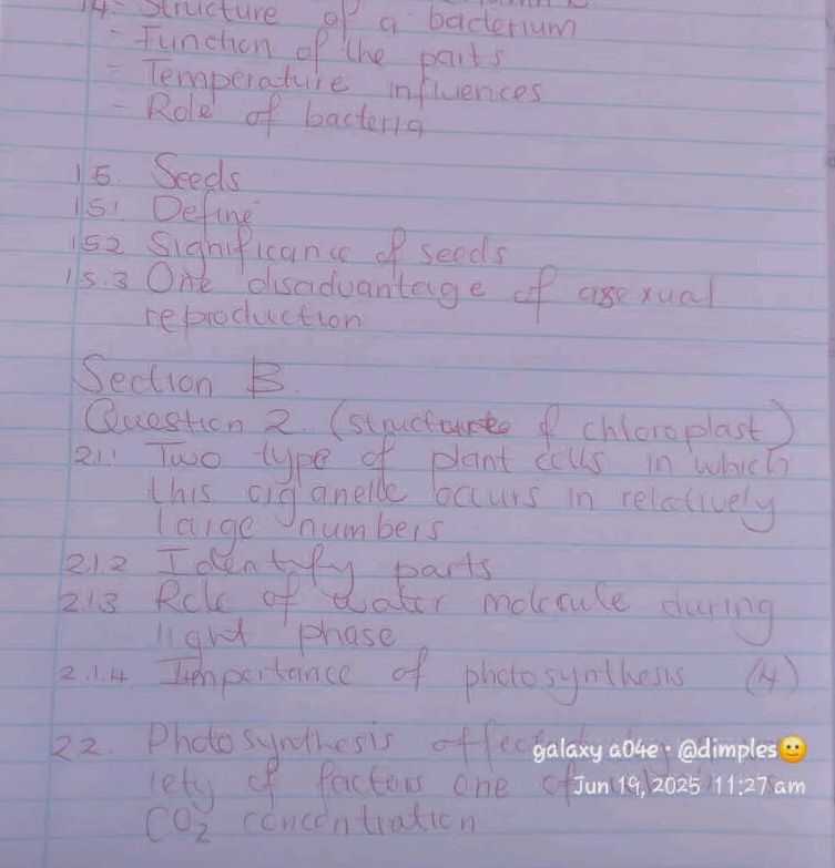 14. Structure of a bacterium - Function of | StudyX