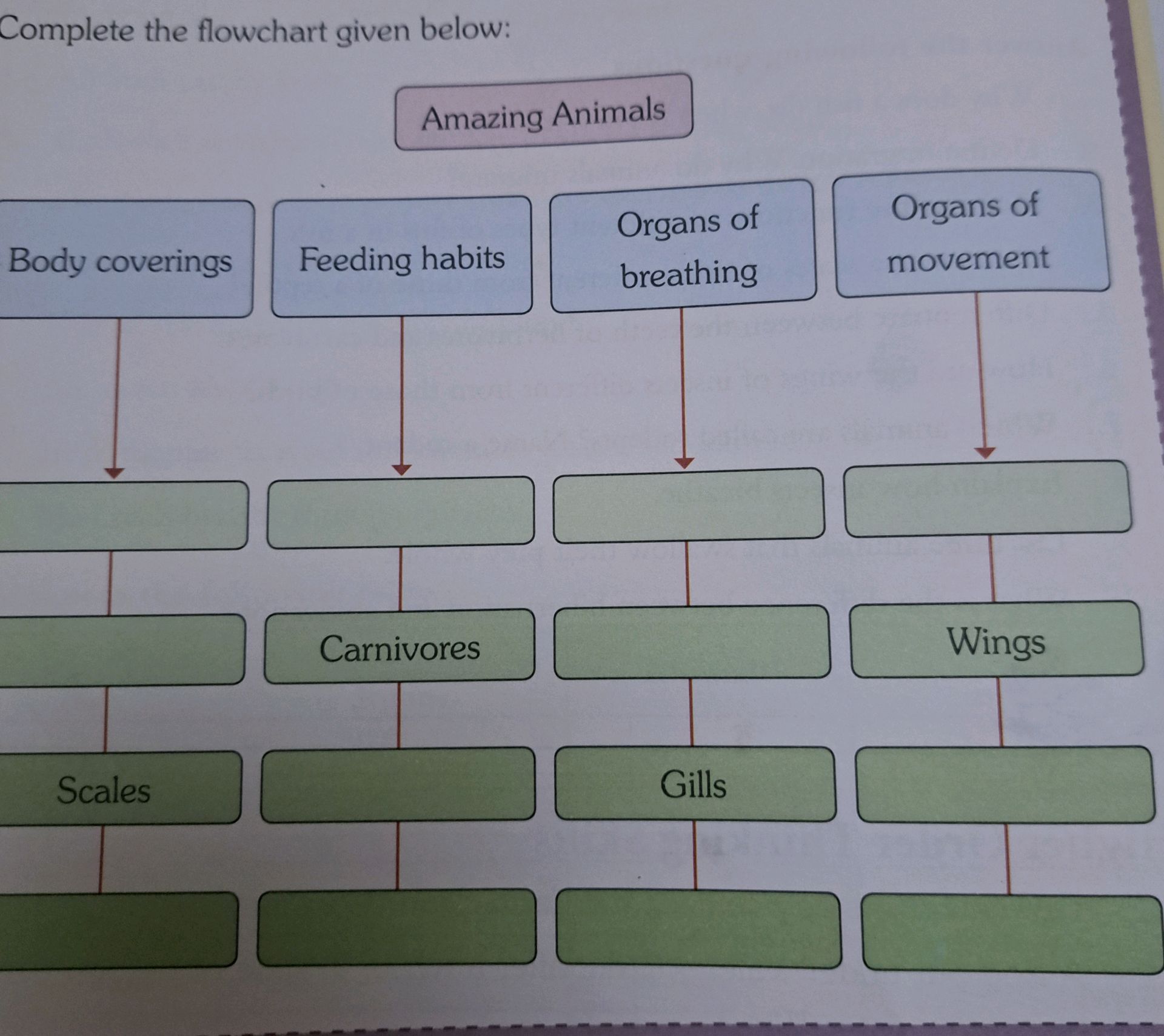 Complete the flowchart given below: Amazing | StudyX