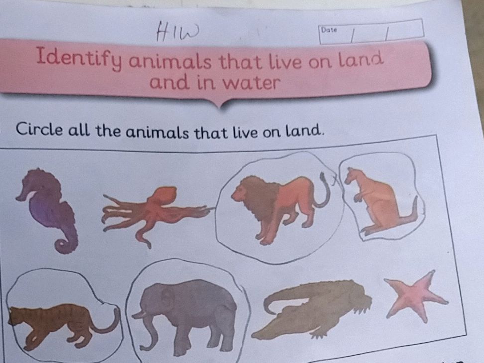 Identify animals that live on land and in