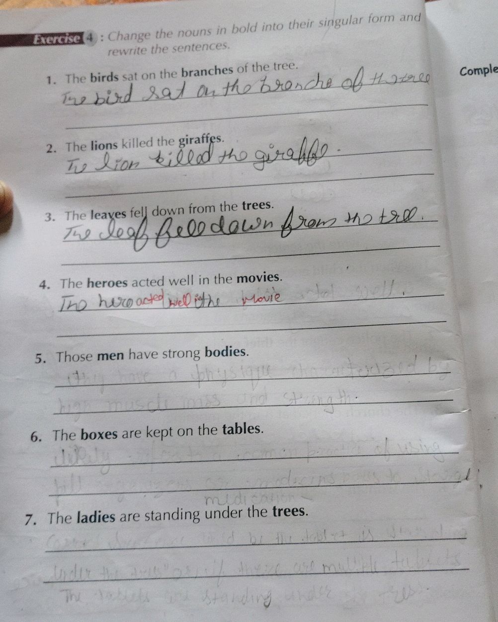 Exercise 4: Change the nouns in bold into | StudyX