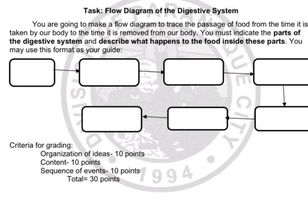 Task: Flow Diagram of the Digestive System | StudyX