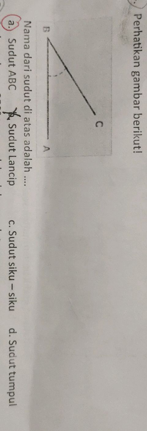 Perhatikan gambar berikut! ``` B \ \ | StudyX