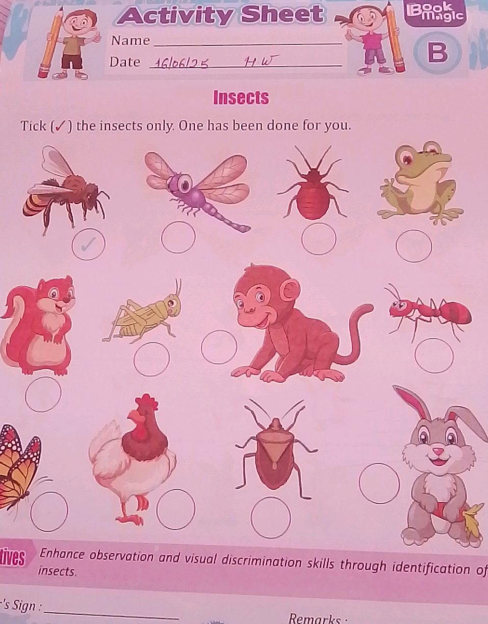 Tick ( ) the insects only. One has been done | StudyX