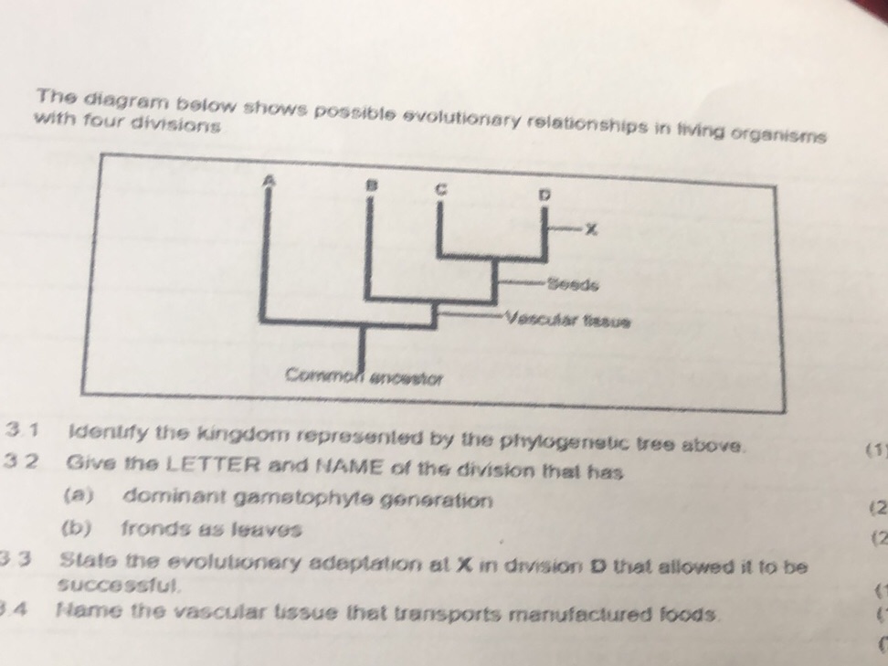 The diagram below shows possible | StudyX