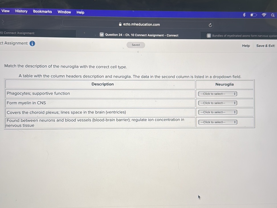 Match the description of the neuroglia with