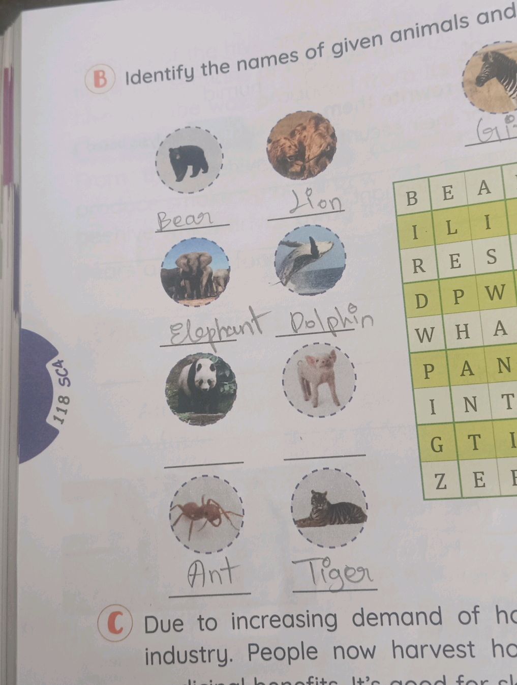 B Identify the names of given animals and | StudyX