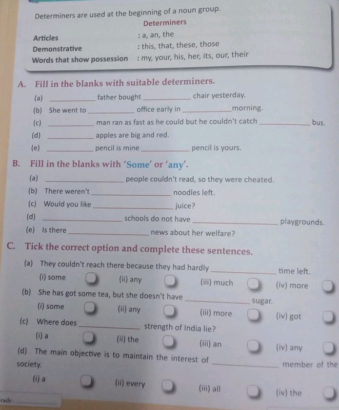 Determiners are used at the beginning of a | StudyX