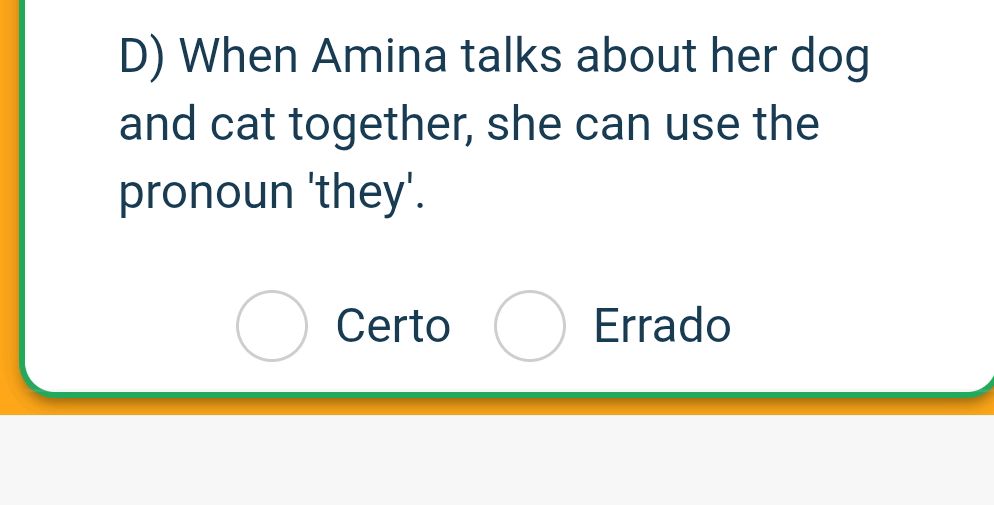 D) When Amina talks about her dog and cat | StudyX