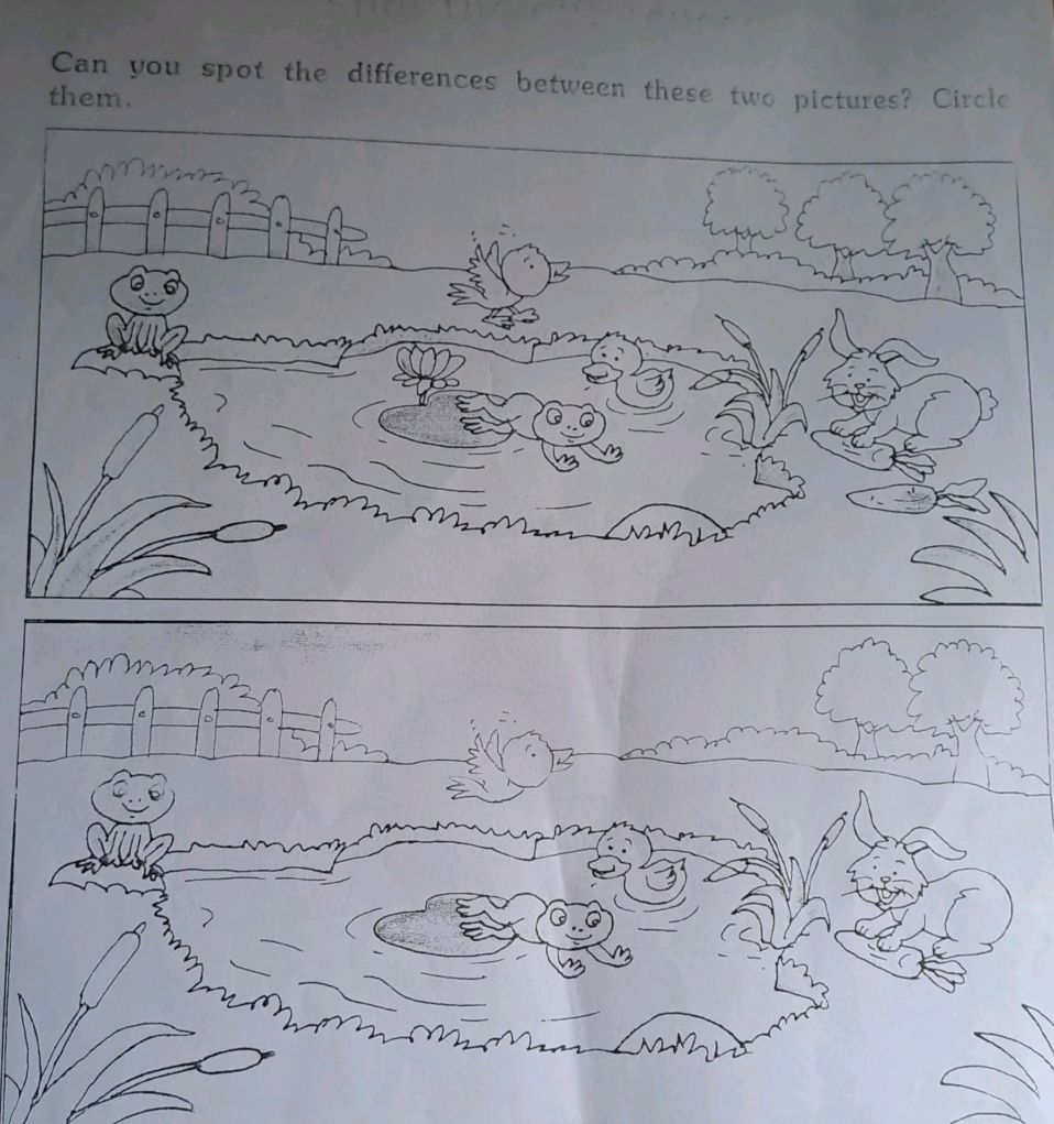 Can you spot the differences between these | StudyX