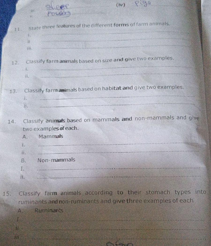 11. State three features of the different | StudyX