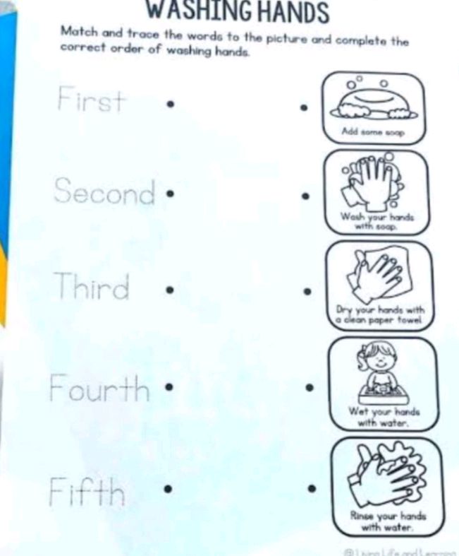 Match and trace the words to the picture and | StudyX