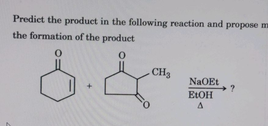 Predict the product in the following | StudyX