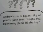 Andrew's mum bought 1kg of plums. Each plum