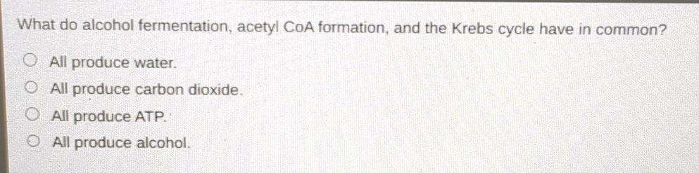 What do alcohol fermentation, acetyl CoA | StudyX