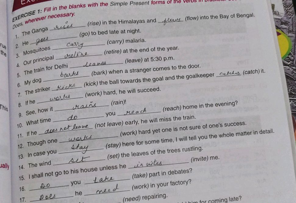 EXERCISE 1: Fill in the blanks with the | StudyX