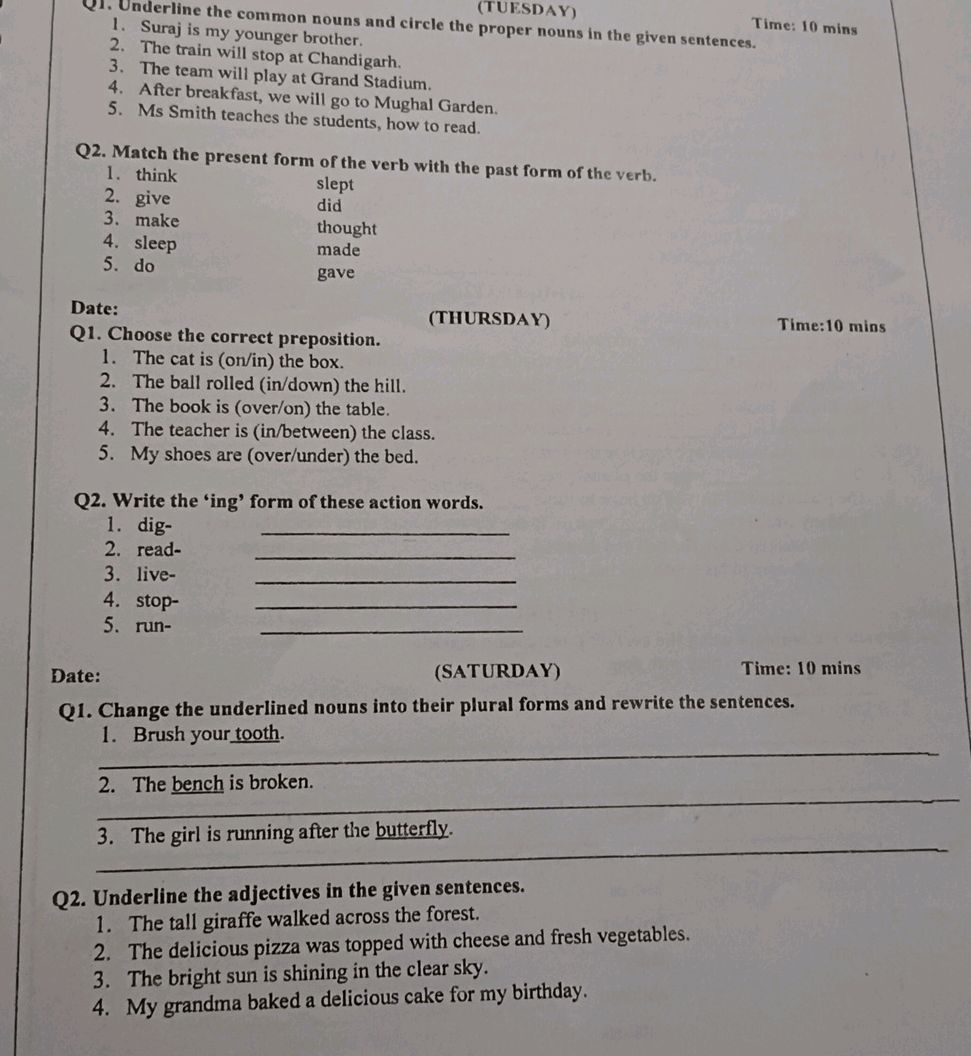 Q1. Underline the common nouns and circle | StudyX