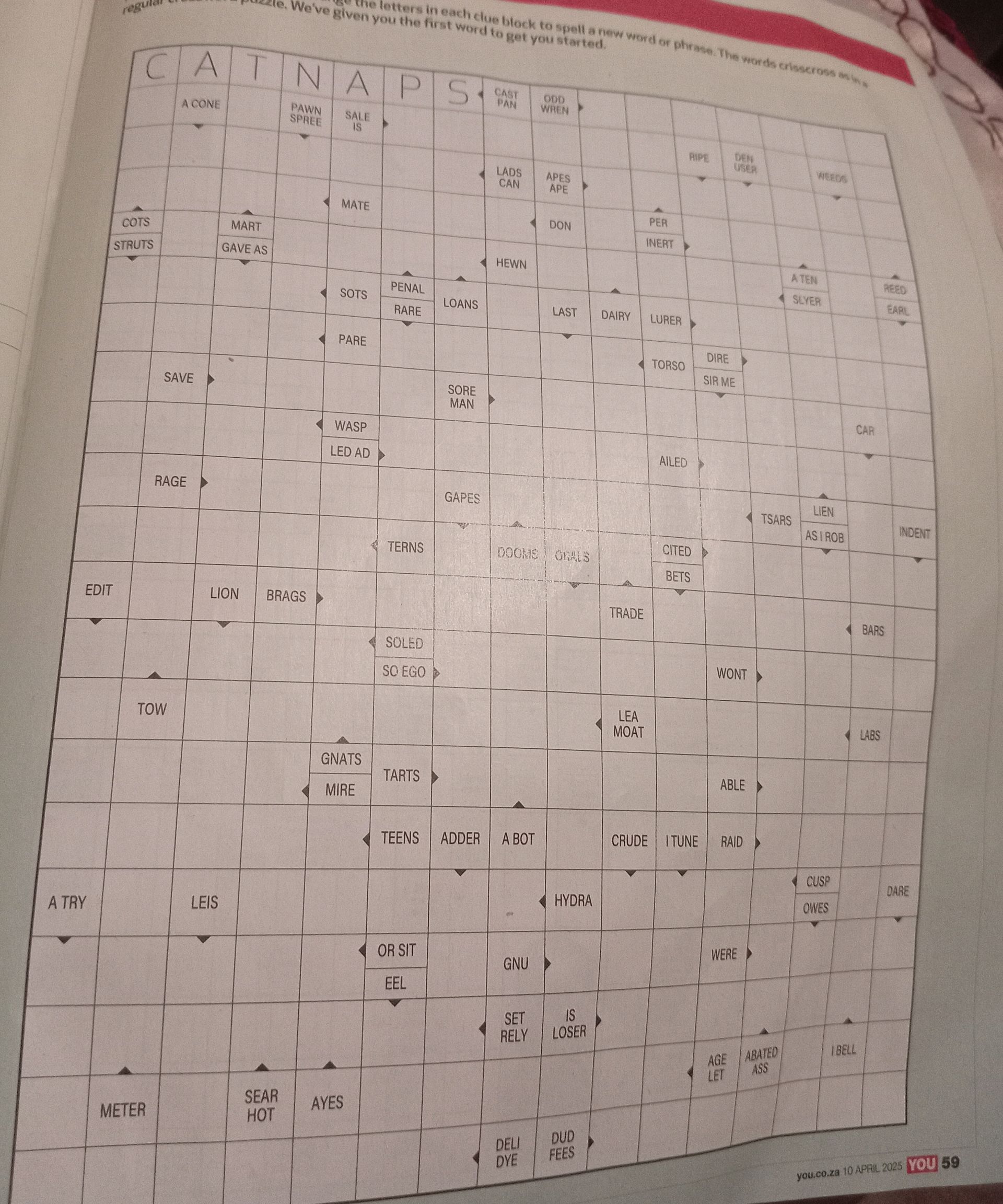 Crossword puzzle with clues and intersecting | StudyX