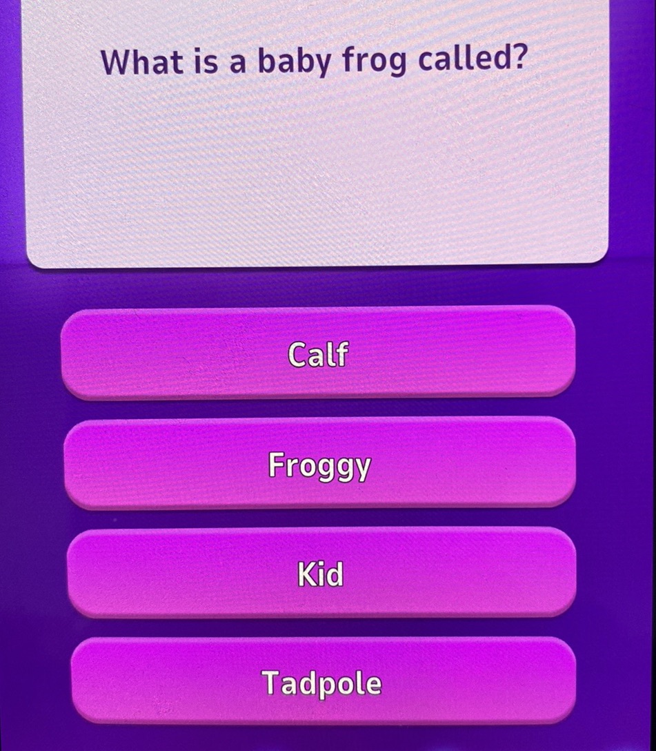 What is a baby frog called? Calf Froggy Kid | StudyX