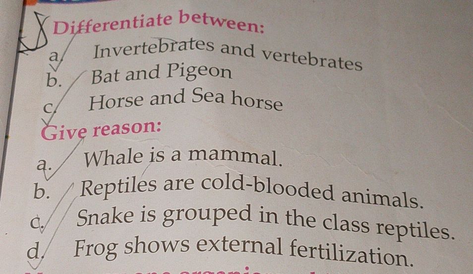 Differentiate between: a. Invertebrates and | StudyX