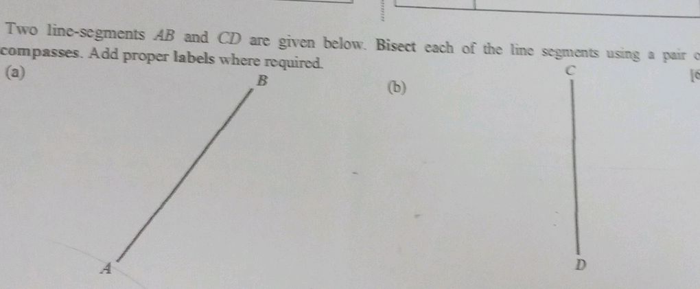 Two line-segments AB and CD are given below. | StudyX