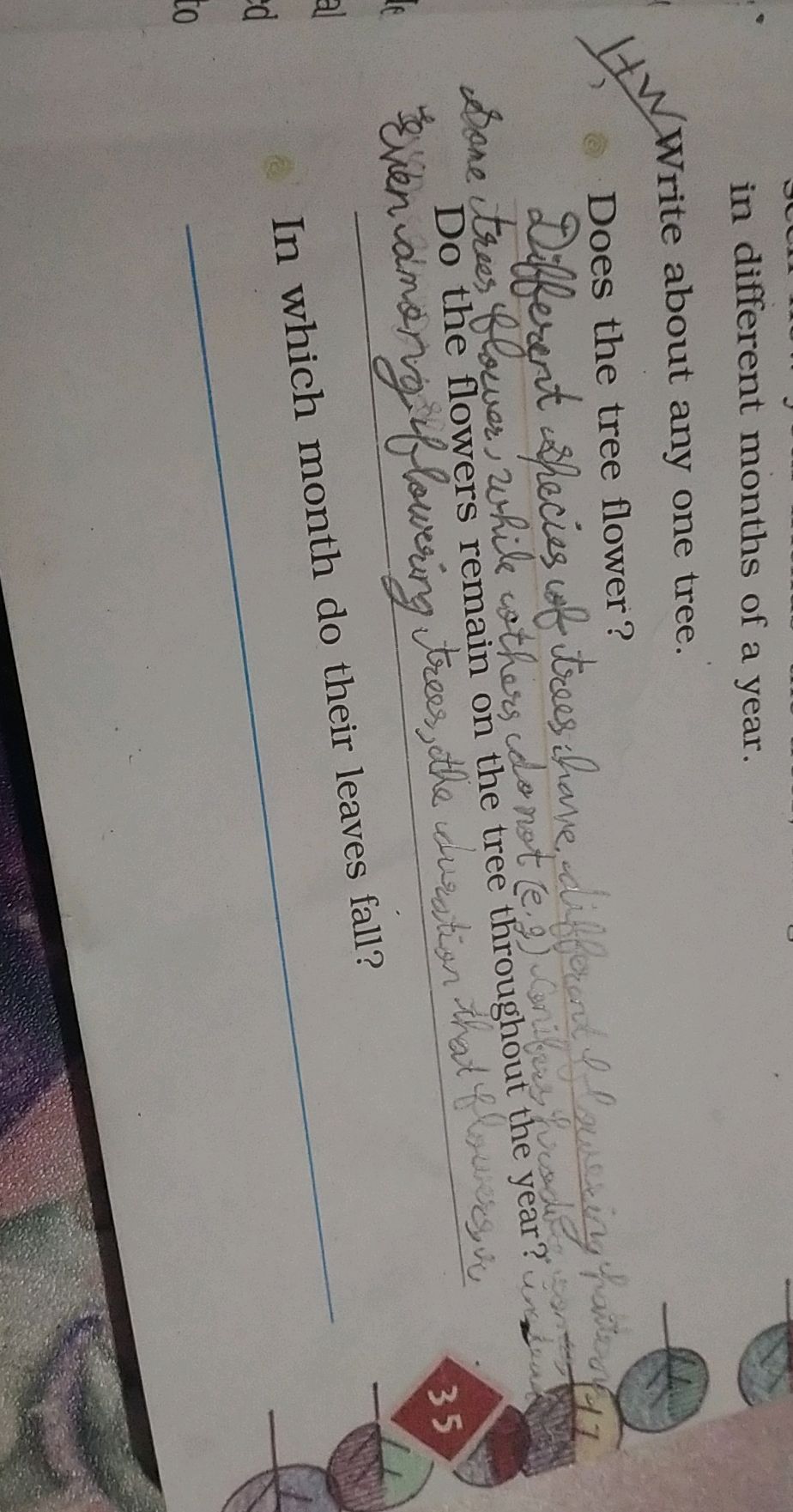 Write about any one tree. Does the tree | StudyX