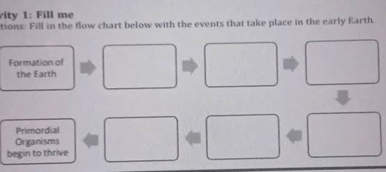 Activity 1: Fill me Fill in the flow chart | StudyX