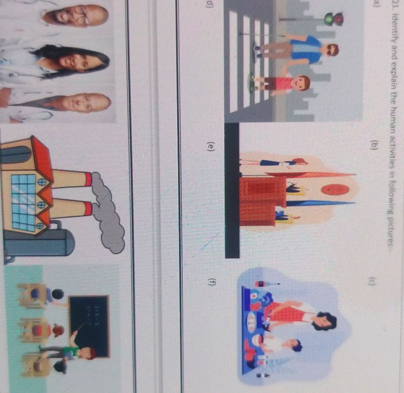 21. Identify and explain the human | StudyX