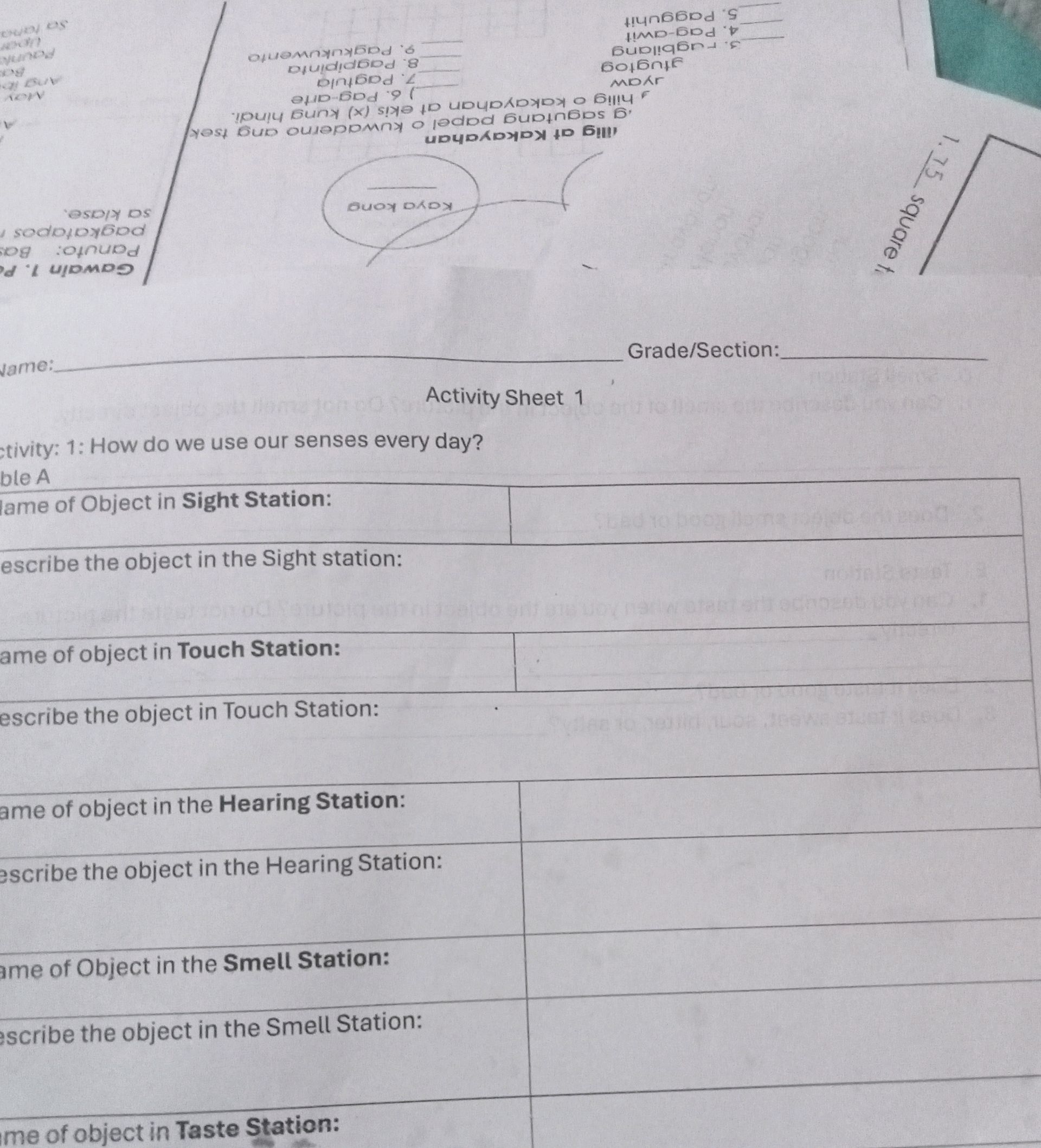 Activity 1: How do we use our senses every | StudyX