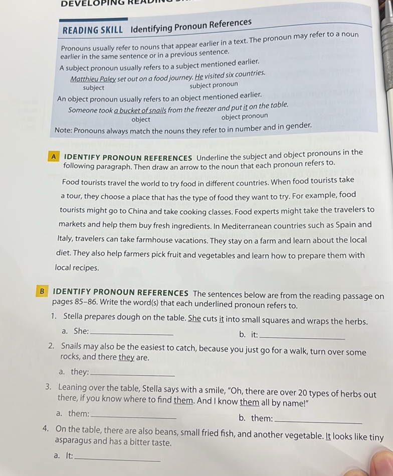 B IDENTIFY PRONOUN REFERENCES The sentences | StudyX