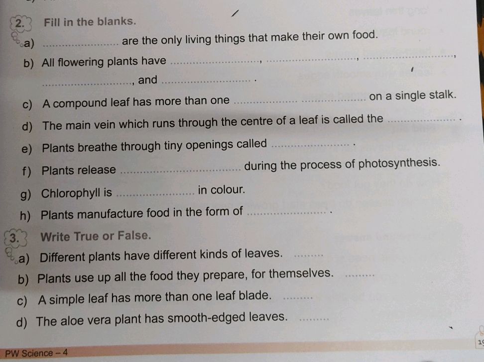 2. Fill in the blanks. a) _______ are the | StudyX