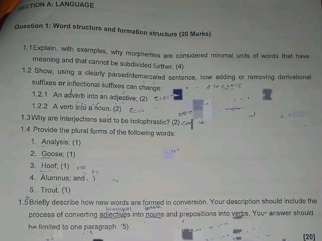 Question 1: Word structure and formation | StudyX