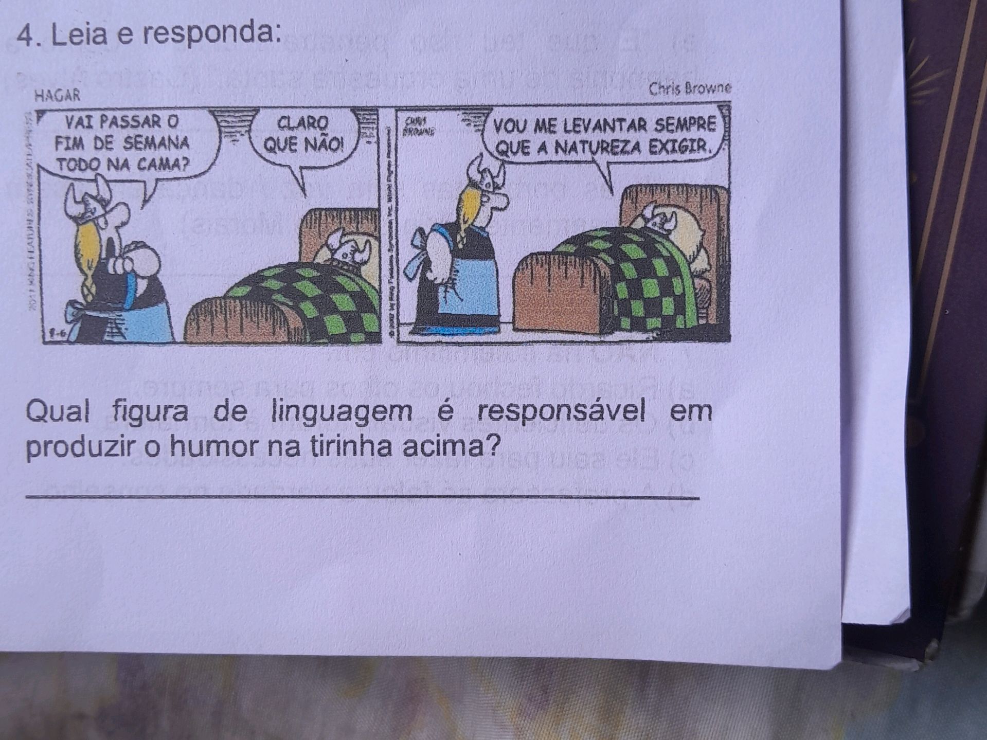 Leia e responda: HAGAR VAI PASSAR O FIM DE