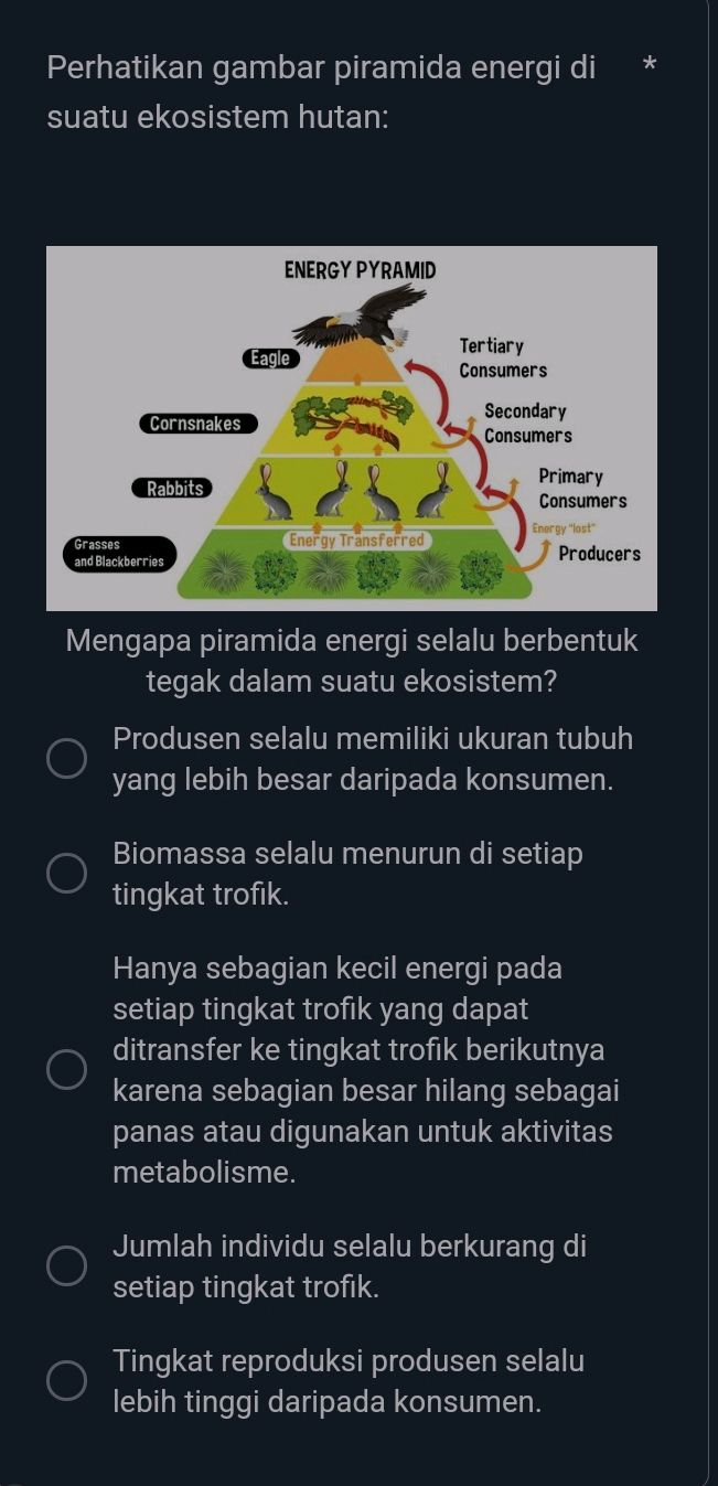 Perhatikan gambar piramida energi di suatu | StudyX