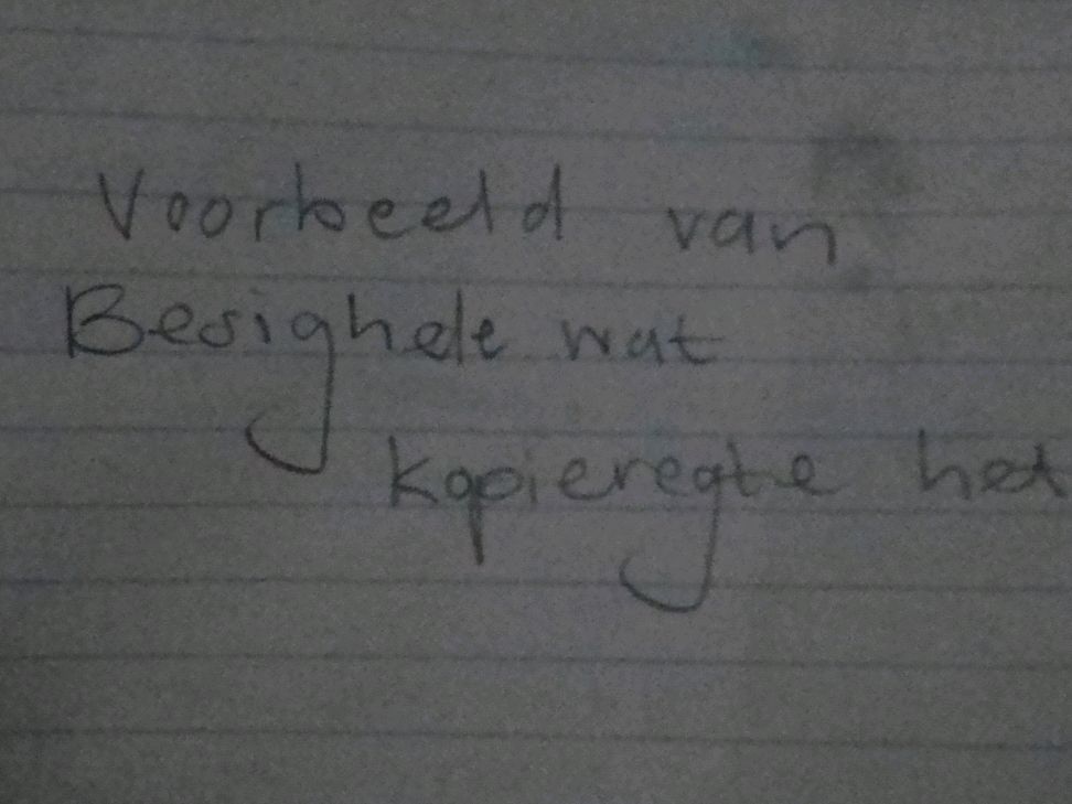 Voorbeeld van Besighele wat kopieregte het | StudyX