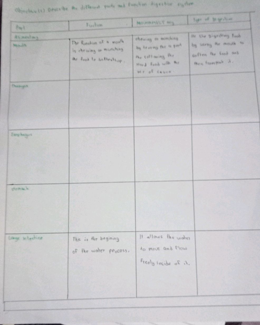 | Part | Function | Movement | Type of | StudyX