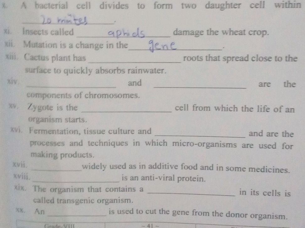 x. A bacterial cell divides to form two | StudyX