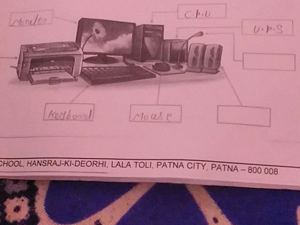 Label the parts of the computer in the | StudyX