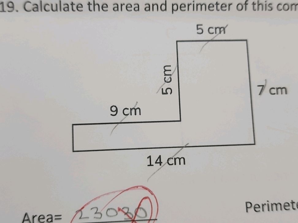19. Calculate the area and perimeter of this | StudyX