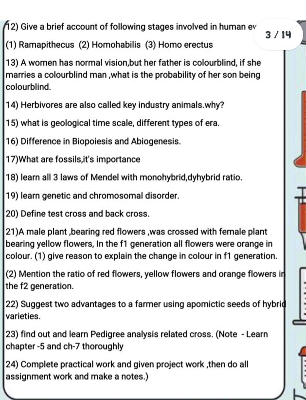 12) Give a brief account of following stages | StudyX