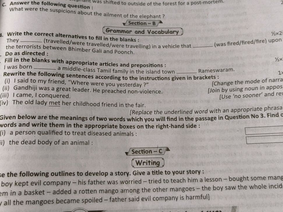 4. Write the correct alternatives to fill in | StudyX