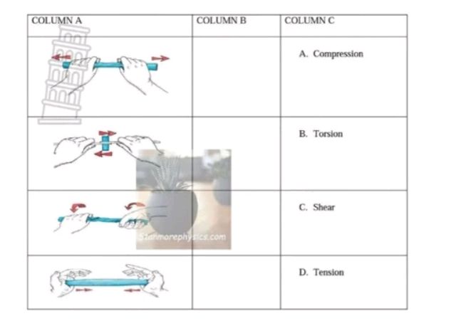 | COLUMN A | COLUMN B | COLUMN C | | StudyX