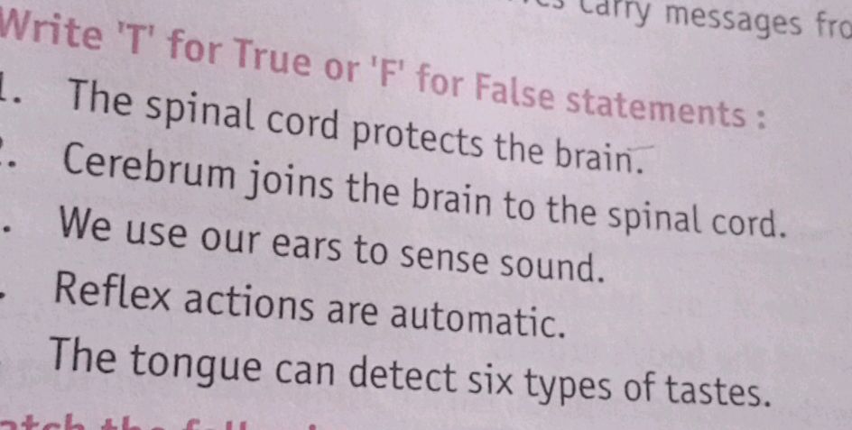 Write 'T' for True or 'F' for False | StudyX