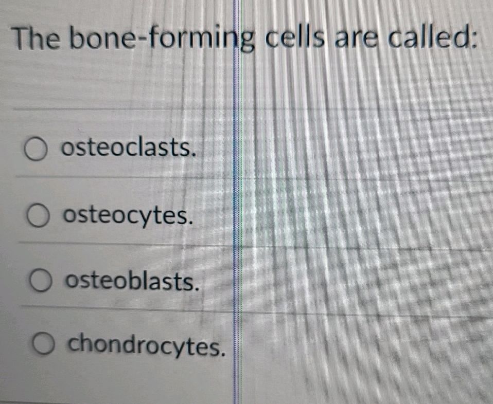 The bone-forming cells are called: | StudyX