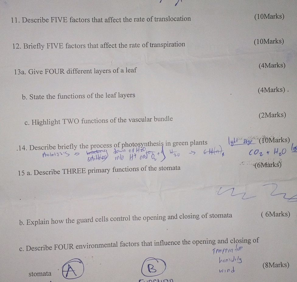 11. Describe FIVE factors that affect the | StudyX