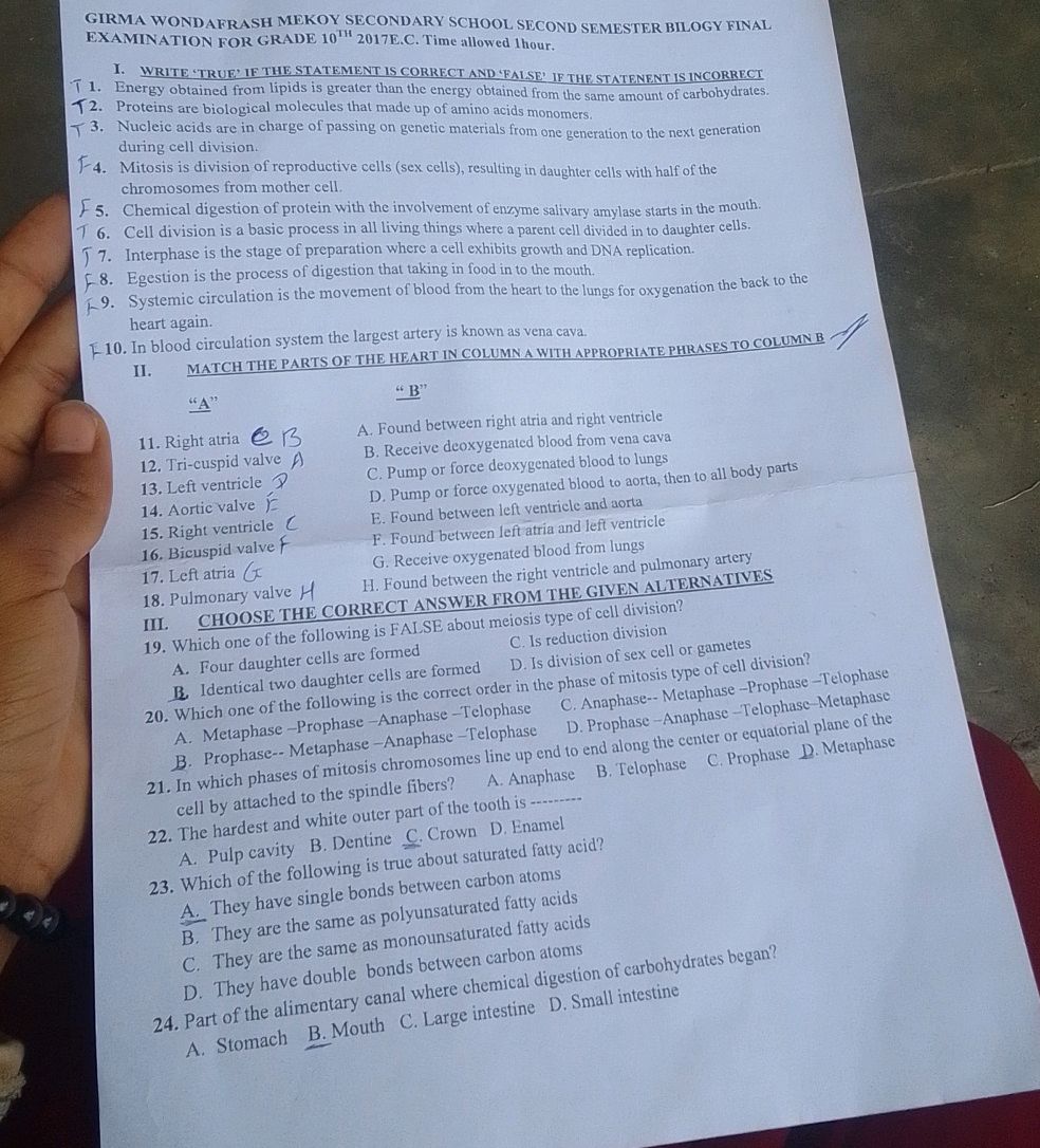 I. WRITE 'TRUE' IF THE STATEMENT IS CORRECT | StudyX