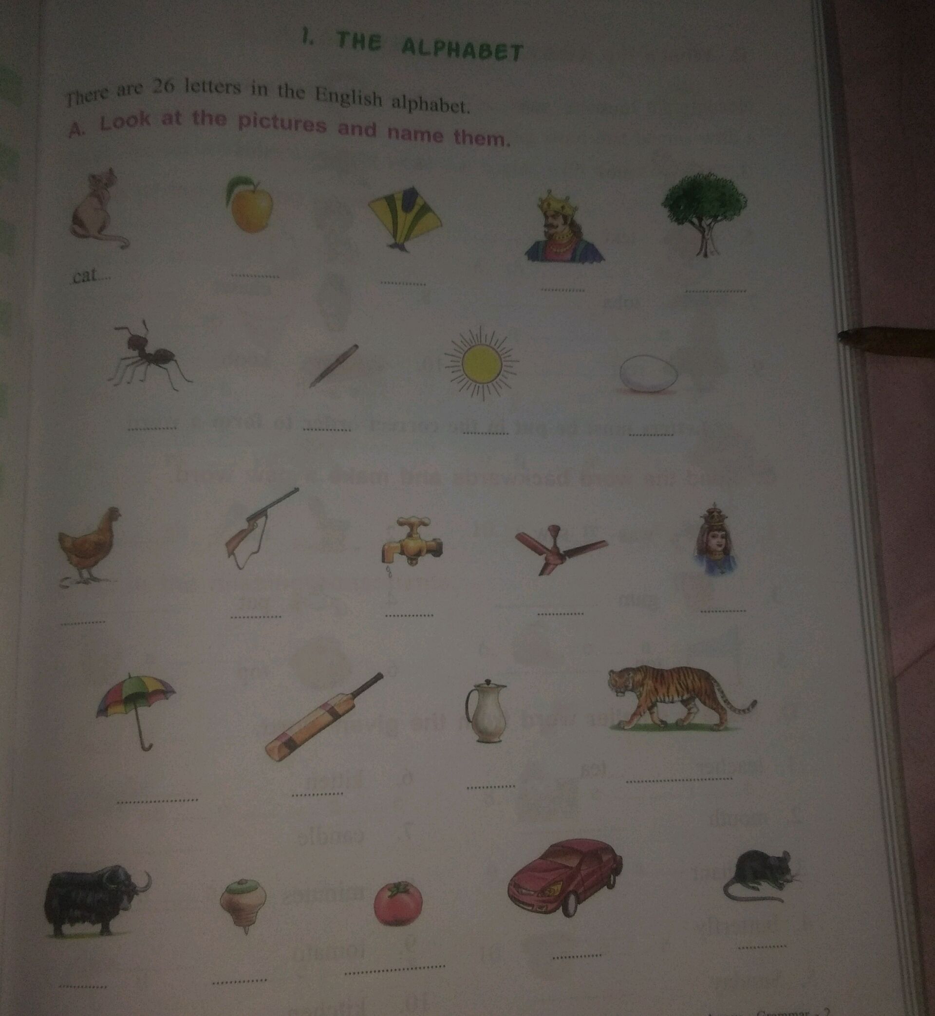 1. THE ALPHABET There are 26 letters in the | StudyX