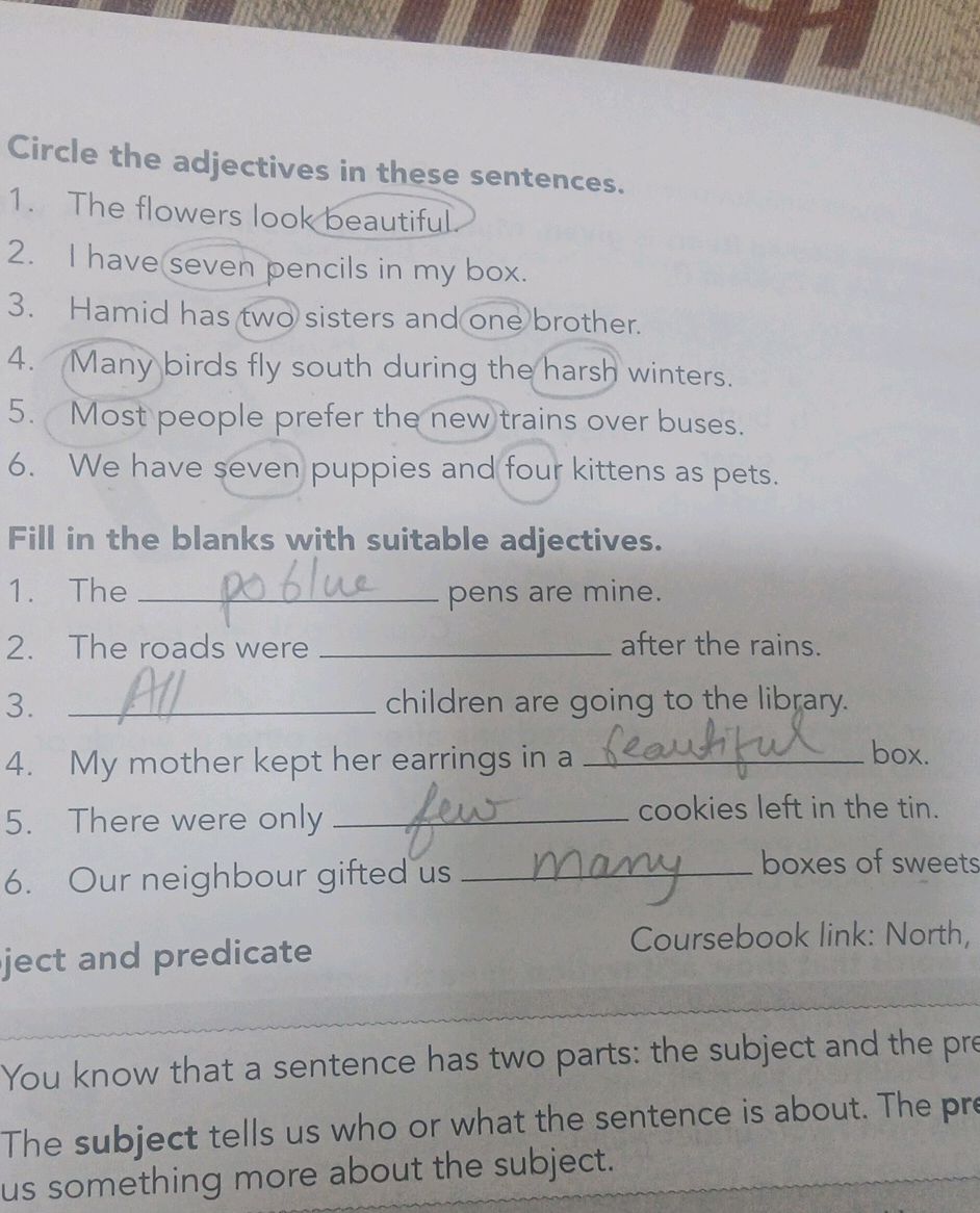 Circle the adjectives in these sentences. | StudyX