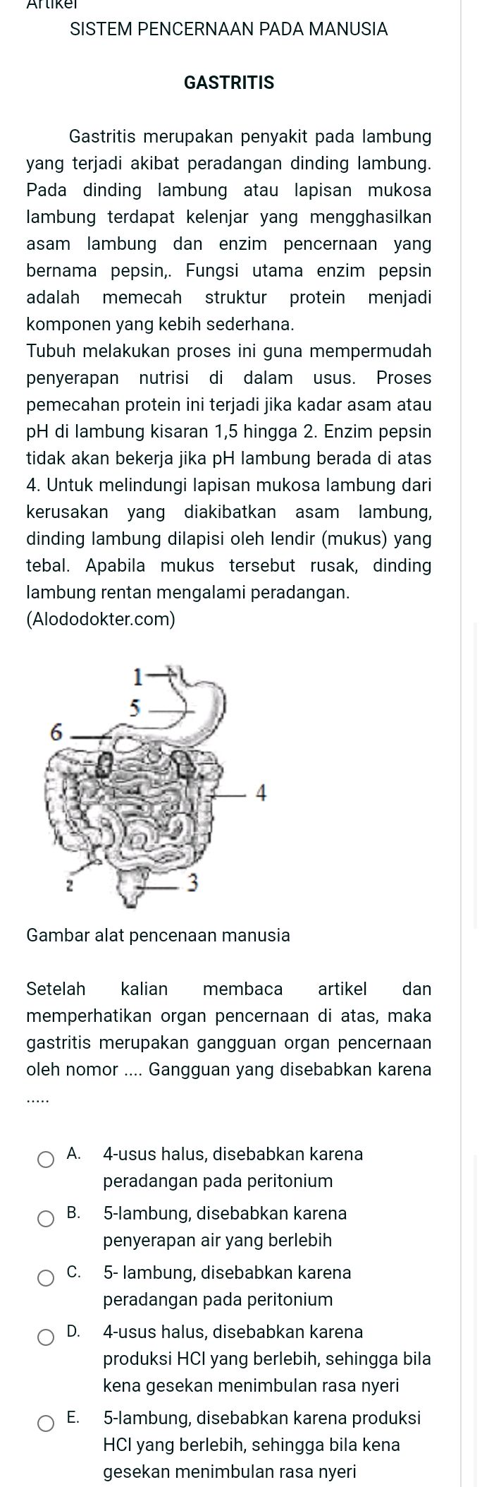 Setelah kalian membaca artikel dan | StudyX