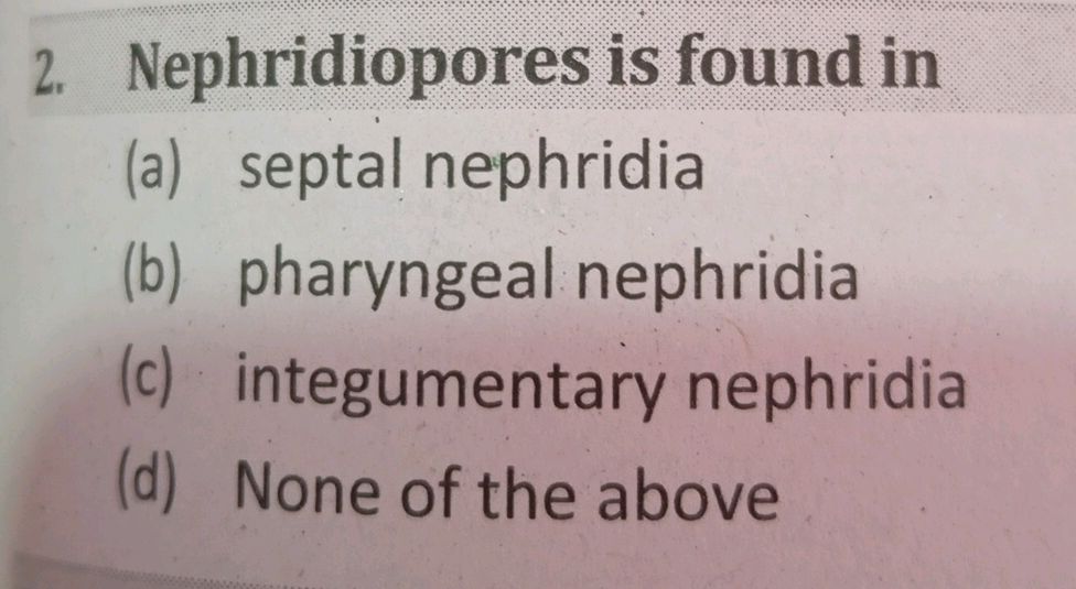 2. Nephridiopores is found in (a) septal | StudyX
